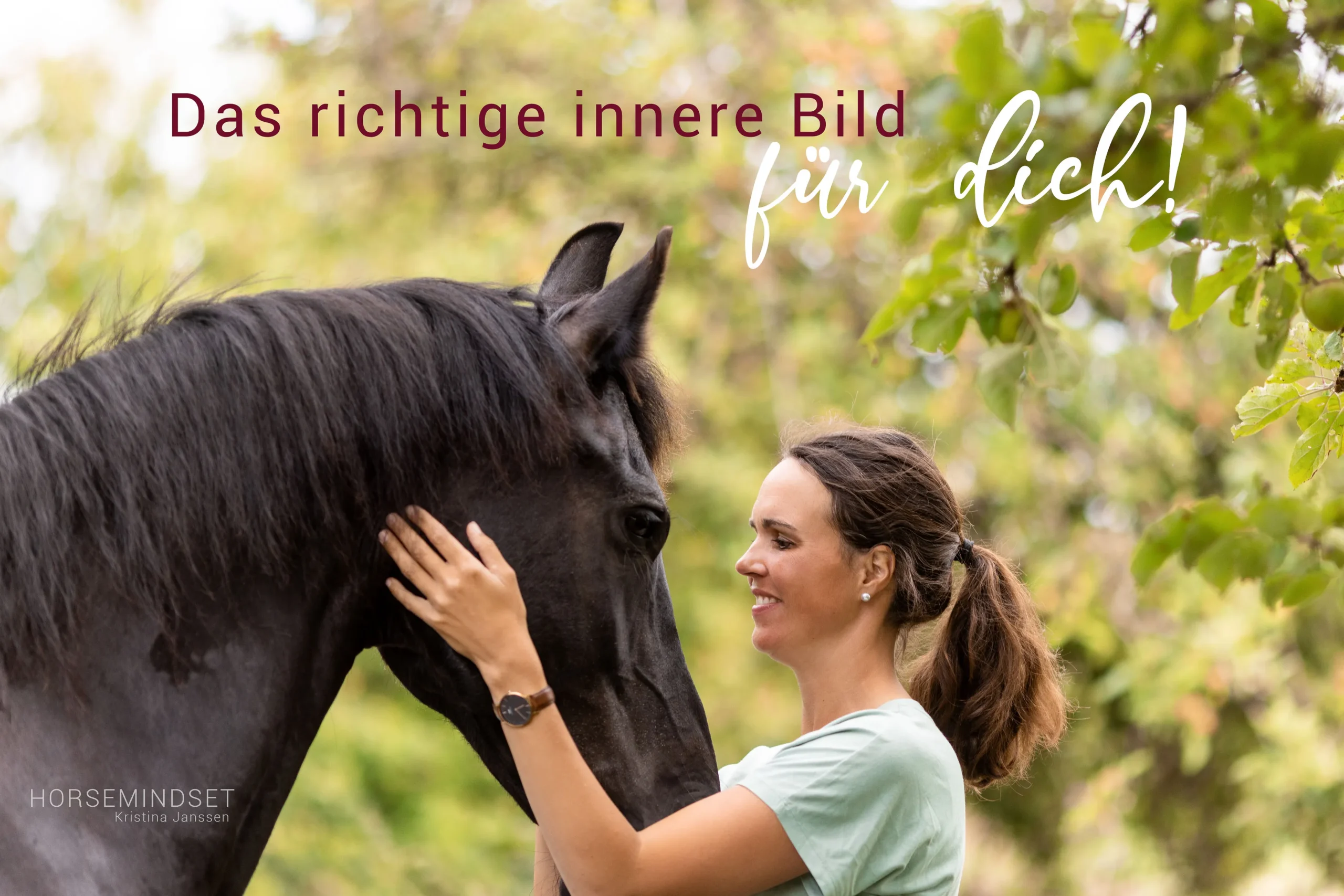 Innere Bilder beim Reiten - so nutzt du sie richtig - Horsemindset